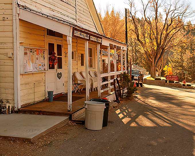 The Markleeville General Store stands as a time capsule with its weathered wooden porch and community bulletin board&mdash;small-town America in its most authentic form.