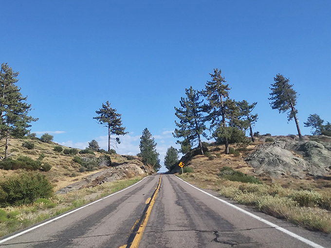 The open road beckons with promises of adventure as Sunrise Highway cuts through golden hills and towering pines. Nature's version of a red carpet.