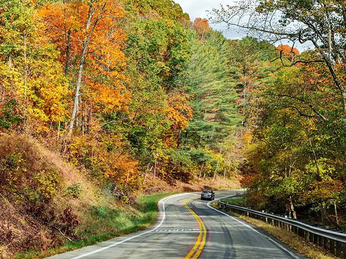 Fall's grand finale puts on a show worth slowing down for. This stretch of asphalt might be Ohio's most photogenic runway.