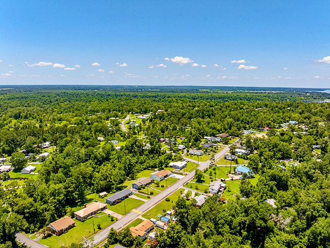 Reynolds Discount Co. stands as a brick sentinel of small-town commerce, its weathered fa&ccedil;ade telling stories of generations who've shopped its aisles.