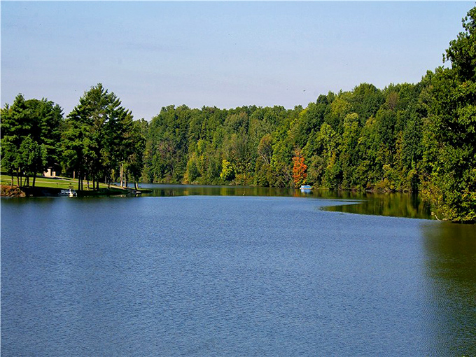 Nature's perfect mirror: Harrison Lake reflects the surrounding forest in such stunning clarity, you might mistake it for a high-definition screensaver.