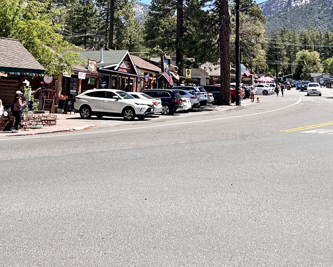 Downtown Idyllwild welcomes you with rustic charm and mountain character. Those towering pines aren't just scenery&mdash;they're the town's elder statesmen.