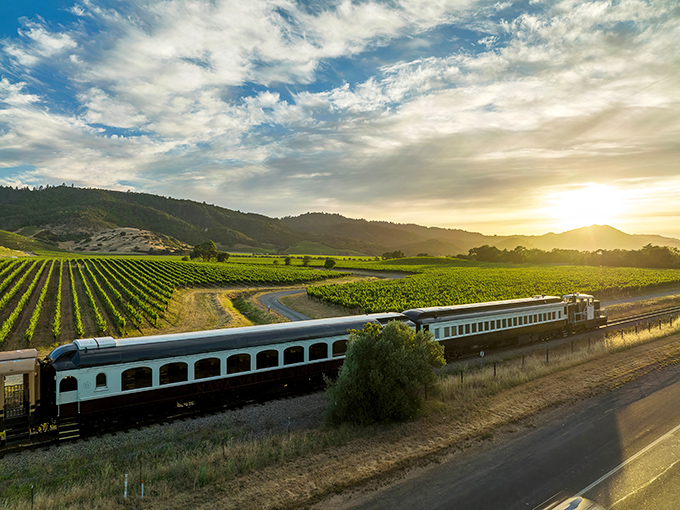 The Napa Valley Wine Train glides through sun-drenched vineyards like a time machine with better upholstery and definitely better wine.