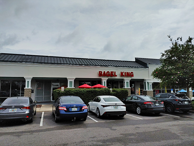 The bright yellow facade of Bagel King stands out like a beacon of carb-loaded hope in this Casselberry strip mall.