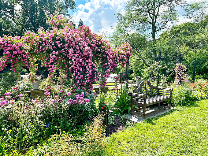 A cascade of pink climbing roses creates nature's perfect canopy over this inviting garden bench. Sit here and suddenly your smartphone seems like the least interesting thing in the world.