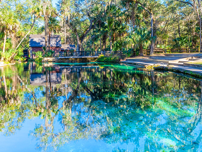 Nature's infinity pool! The crystalline waters of Juniper Springs reflect the surrounding palms and historic mill house in perfect symmetry.