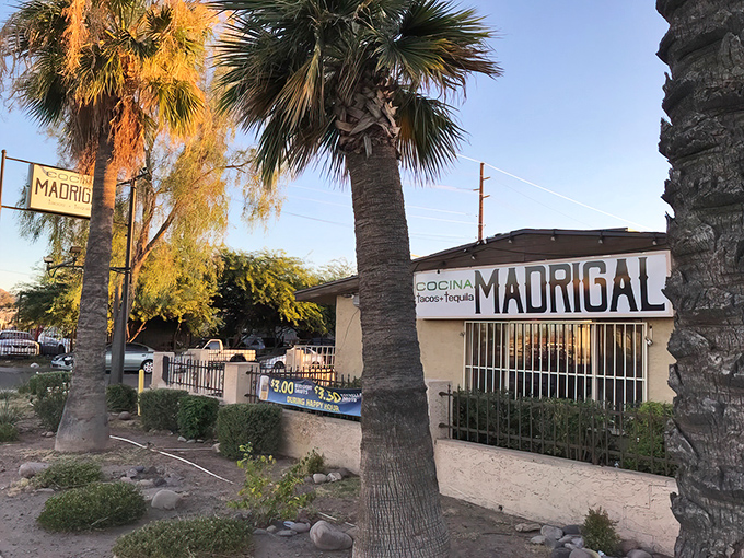 Palm trees stand sentinel outside Cocina Madrigal, nature's way of saying "exceptional Mexican food ahead!" The unassuming exterior hides culinary treasures within.