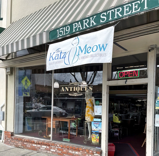 The blue and white sign beckons like a siren song to bargain hunters. This Park Street storefront promises treasures that won't require a second mortgage.