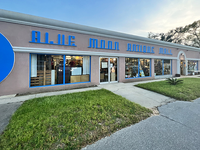 The pink stucco facade with bright blue lettering promises treasures within. That sign outside might as well say "Abandon all sense of time, ye who enter here."