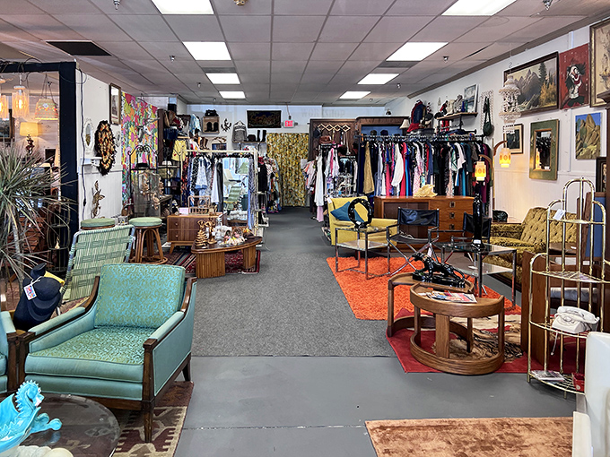 Step inside Dashwood and prepare for a time-traveling adventure through decades of design. This spacious showroom is just the beginning of your vintage journey.
