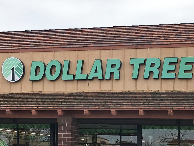 The iconic green signage of Dollar Tree in Clovis beckons like a siren song to bargain hunters. Who knew paradise had a brick facade and fluorescent lighting?