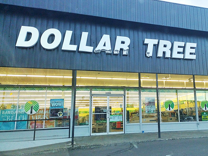 Like discovering a retail diamond hiding in plain sight, this Dollar Tree's impressive facade promises adventures in affordable abundance.
