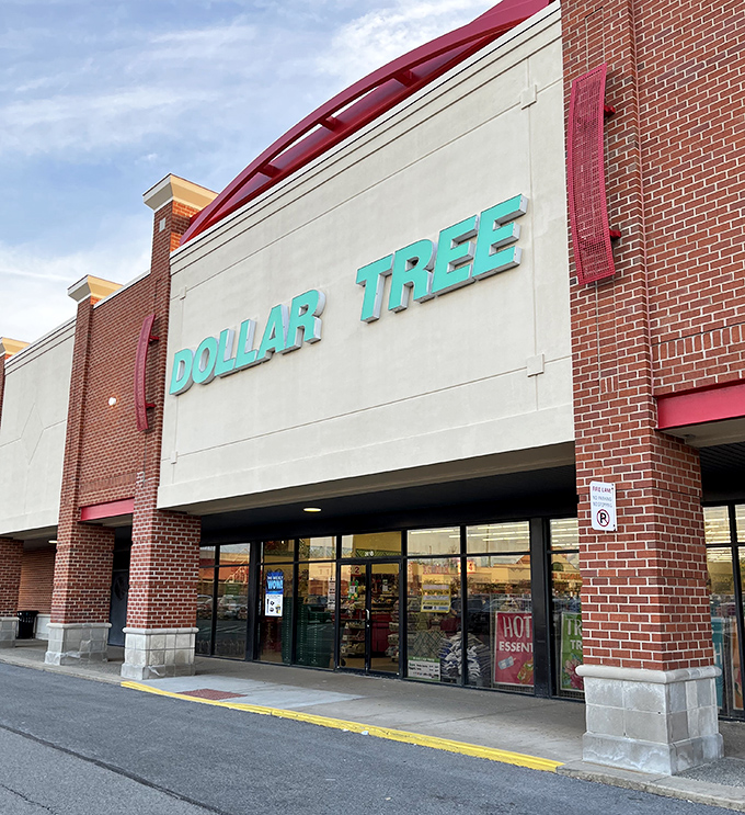 The iconic teal signage of Dollar Tree beckons bargain hunters like a lighthouse guiding ships to savings harbor.