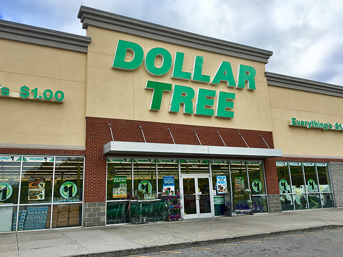 The emerald beacon of bargain hunters everywhere! Dollar Tree's iconic storefront promises a treasure trove of affordable finds behind those sliding doors.