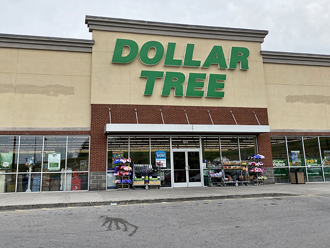 The emerald beacon of bargain hunters everywhere! Dollar Tree's iconic storefront promises a treasure trove of affordable finds behind those sliding doors.