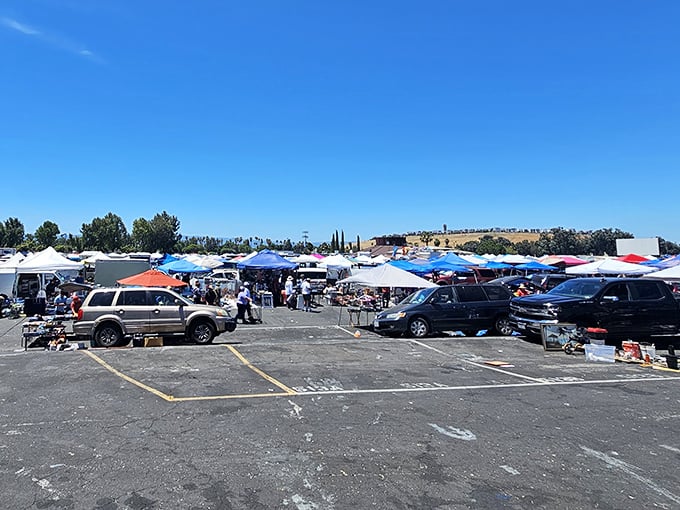 A sea of colorful canopies stretches across the asphalt landscape, where treasure hunters navigate between parked cars and pop-up shops under perfect California skies.
