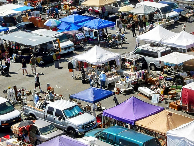 Welcome to treasure hunter's paradise, where every aisle promises a story worth taking home.