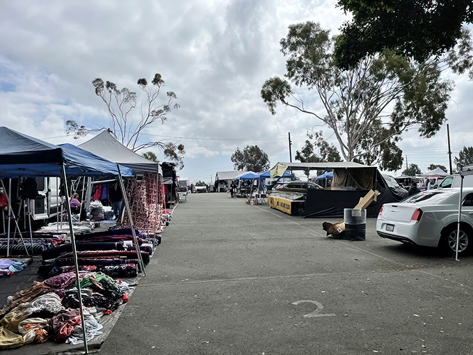 Welcome to bargain paradise! Under the San Diego sun, vendors and treasure hunters converge at National City Swap Meet, where every aisle promises discovery.