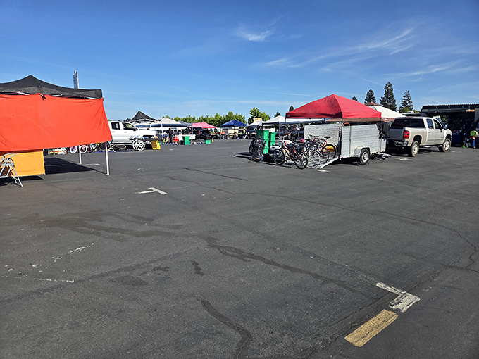 Garden fountains and stone sculptures create an unexpected oasis amid the market chaos. Who knew your backyard needed a three-tiered masterpiece?