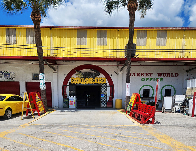The yellow facade and "SEE LIVE GATORS" sign promise Florida adventures that no mall could ever deliver. Treasure hunting begins at this unmistakable entrance.