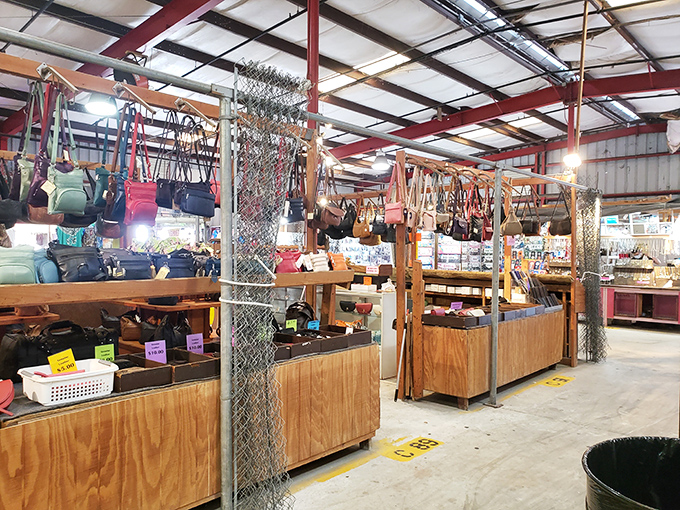 Treasure hunter's paradise! Every shelf and cubby holds potential discoveries waiting for someone to exclaim, "I've been looking for this my whole life!"