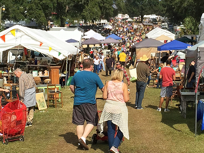 The outdoor market buzzes with energy as shoppers navigate a sea of tents, each one a potential goldmine of unexpected treasures.