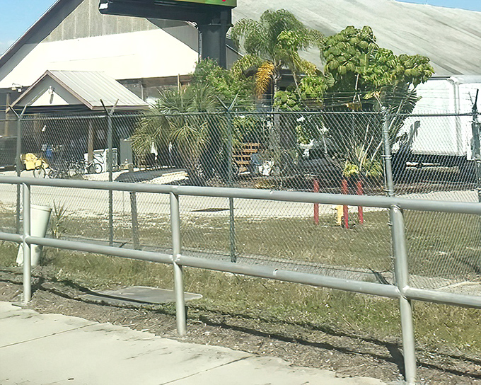Endless possibilities stretch before you down this corridor of commerce, where treasures and trinkets await at every turn.