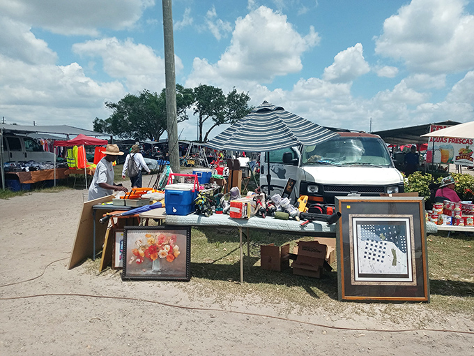 A treasure hunter's paradise under the Florida sun, where framed art and household items wait patiently for their second chance at love.