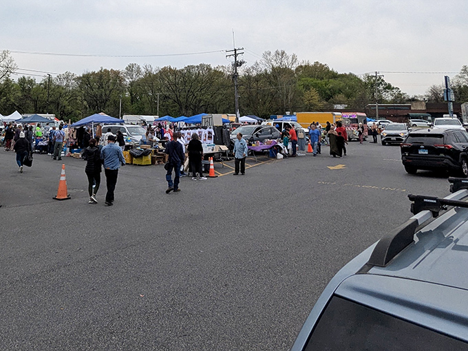 The outdoor section of North Point Plaza Flea Market buzzes with weekend treasure hunters scouring tables for that perfect find.
