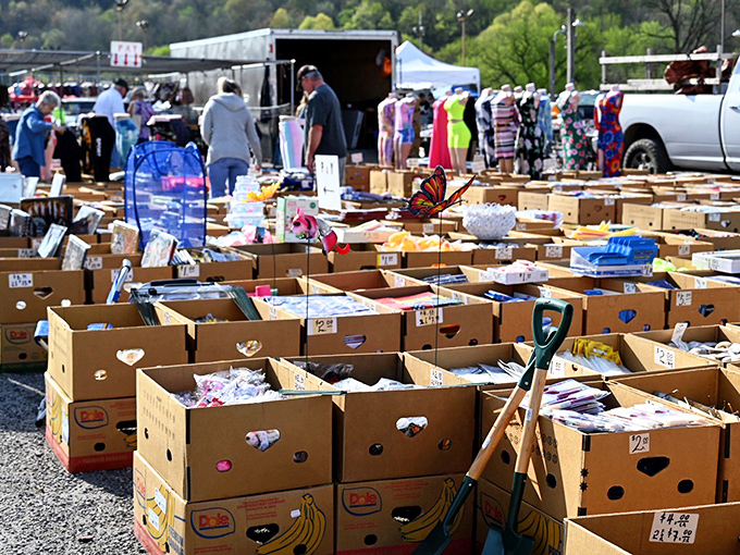 Treasure hunting at its finest! Rows of cardboard boxes filled with potential gems await the curious shopper at Rogers Flea Market.