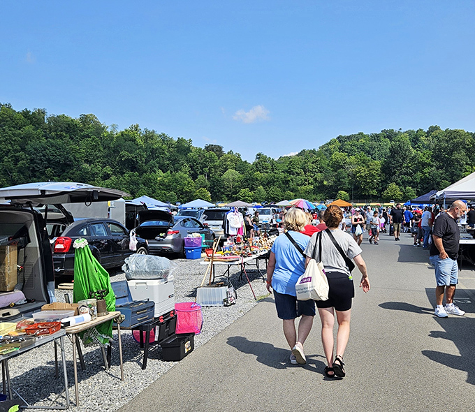 Sunday morning in Pennsylvania and the treasure hunt begins! Shoppers stroll between rows of vendors under perfect blue skies at Trader Jack's.