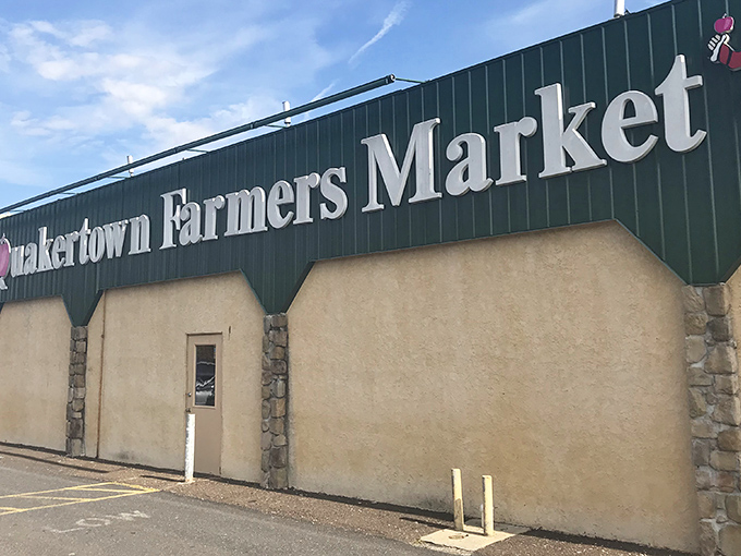 The green-and-tan facade promises adventures that'll leave your wallet lighter but your spirits soaring.