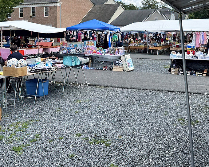 When treasure hunting meets organized chaos, you get this wonderland where every cardboard box holds potential magic.