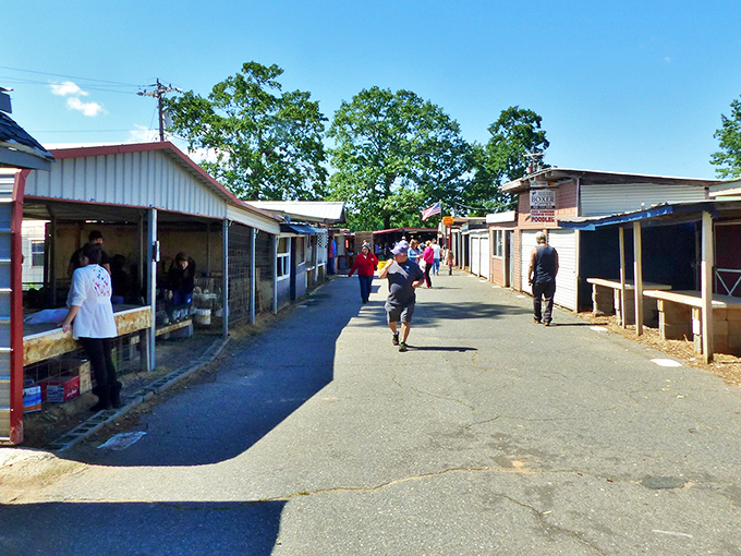 The weekend pilgrimage begins! Rows of permanent stalls line the pathways at Anderson Jockey Lot, where treasure hunting becomes an Olympic sport.