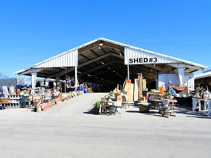 Shed #3 stands like a treasure cave with its wide-open entrance, beckoning shoppers to venture inside and discover what vintage wonders await.