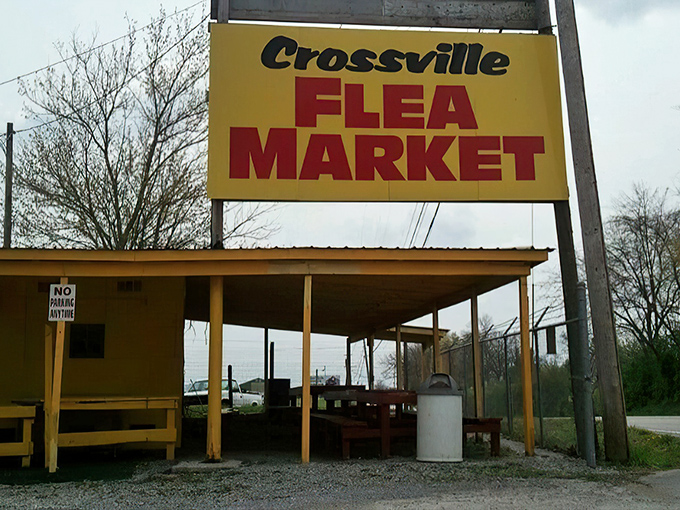 The iconic yellow and red sign welcomes treasure hunters to Crossville Flea Market, where Tennessee's greatest collection of "somebody else's stuff" awaits discovery.