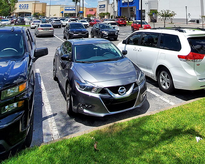 The retail promised land awaits! Ross anchors this shopping paradise where your wallet can actually leave heavier than when it arrived.