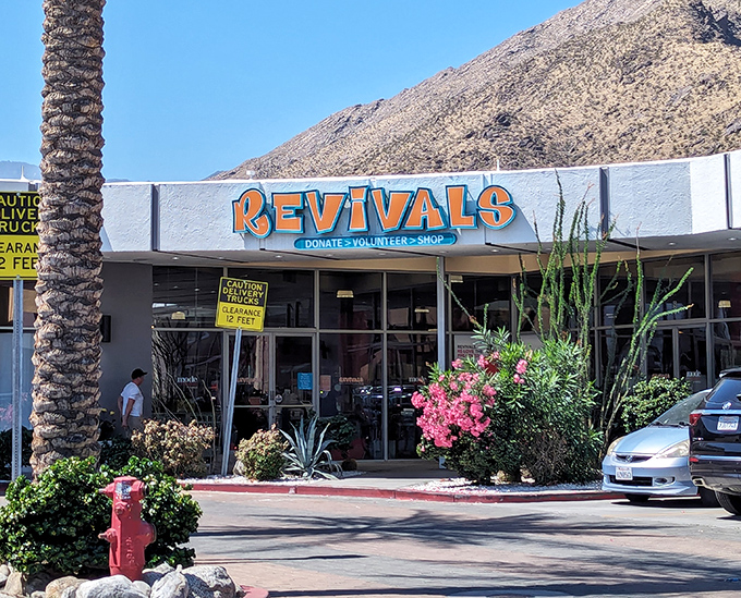The desert sun highlights Revivals' distinctive mid-century facade, where Palm Springs' best-kept shopping secret awaits behind those glass doors.