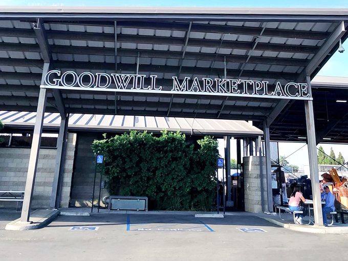 Welcome to retail therapy heaven, where your wallet stays happy and your cart gets heavy with possibilities.