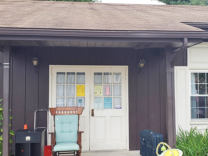 Those white doors might as well be a portal to Narnia. Step through and enter a world where yesterday's castoffs become tomorrow's conversation pieces.