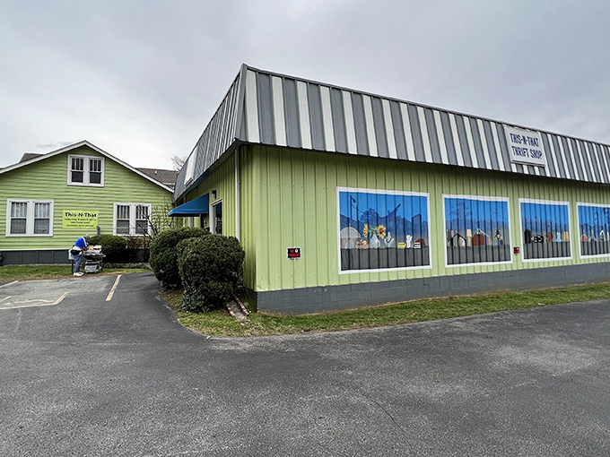 The lime-green exterior of This 'n That Thrift Shop stands out like a peacock at a penguin convention, beckoning bargain hunters with promises of treasures within.