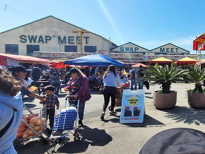 Those warehouse-style buildings hold more treasures than a pirate's chest, minus the eye patches but with better parking.