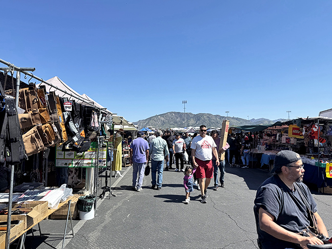 White canopies stretch to the horizon like a modern-day bazaar, where treasure hunters navigate aisles of possibility at the San Fernando Swap Meet.