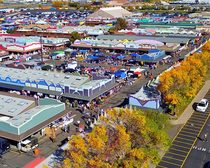 A treasure hunter's paradise from above! The Mile High Flea Market sprawls across acres of possibility, where weekend warriors hunt for bargains beneath Colorado's famous blue skies.