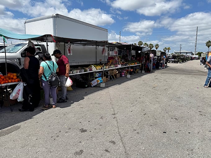 The bustling marketplace comes alive with shoppers browsing produce stands and merchandise, where haggling is both expected and encouraged.