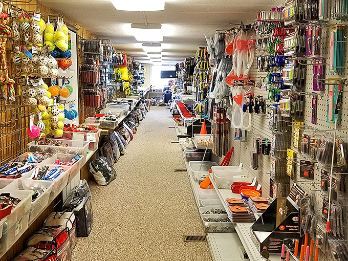The ultimate treasure hunter's paradise stretches before you, with aisles upon aisles of fishing gear, crafts, and gadgets you never knew you needed until now.