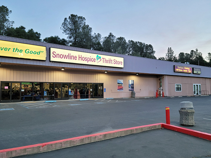 This unassuming storefront holds more treasures than a pirate's chest &ndash; and better prices too.