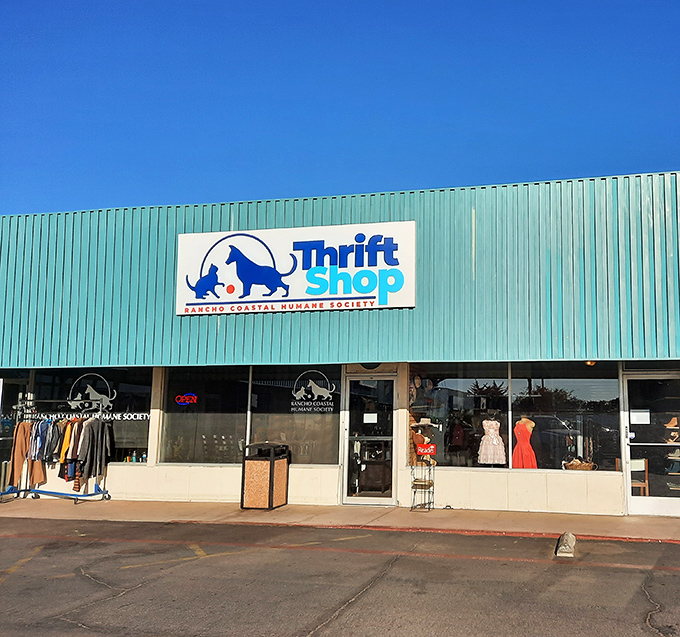 The turquoise treasure chest of Cardiff beckons with its vibrant exterior&mdash;proof that the best shopping experiences sometimes come in unassuming packages.