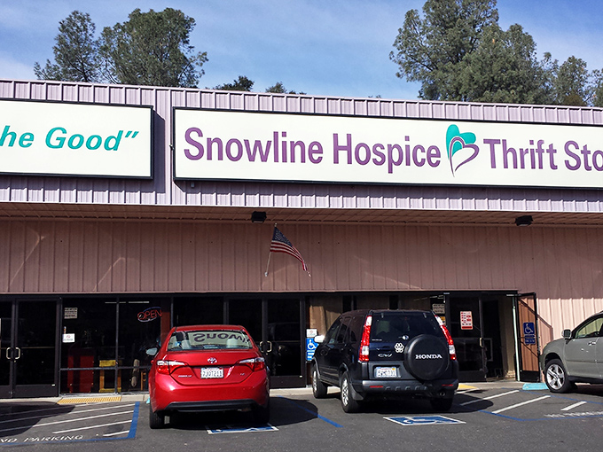 This unassuming storefront holds more treasures than a pirate's chest &ndash; and better prices too.