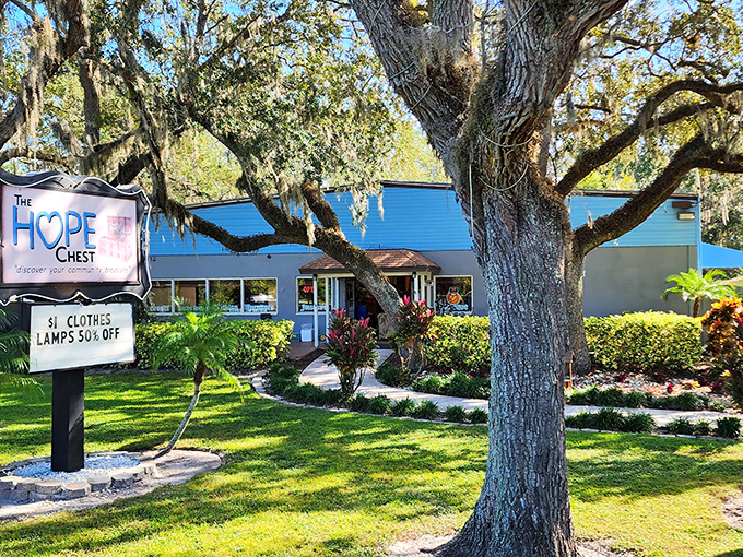 Sunshine, Spanish moss, and secondhand treasures await under that bright blue roof. The HOPE Chest's inviting exterior promises bargains beneath Florida's perfect sky.